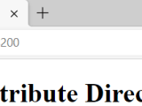 Custom Attribute Directive In Angular